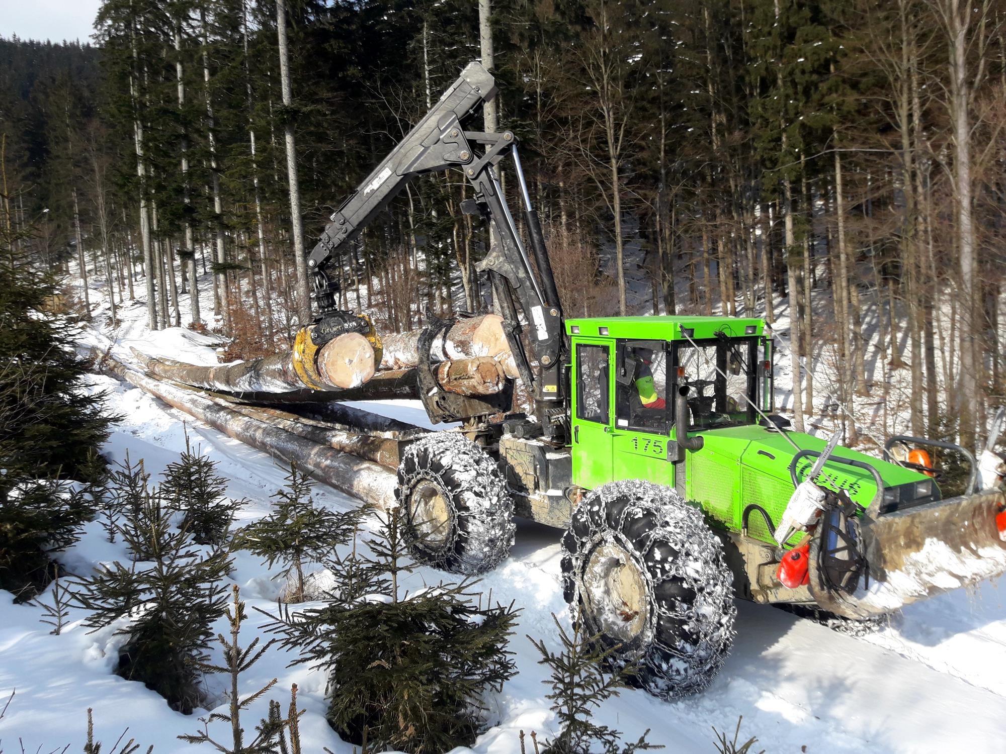 EQUUS 175N - Forestry Machines - Distri-Machines - Forestry Equipment