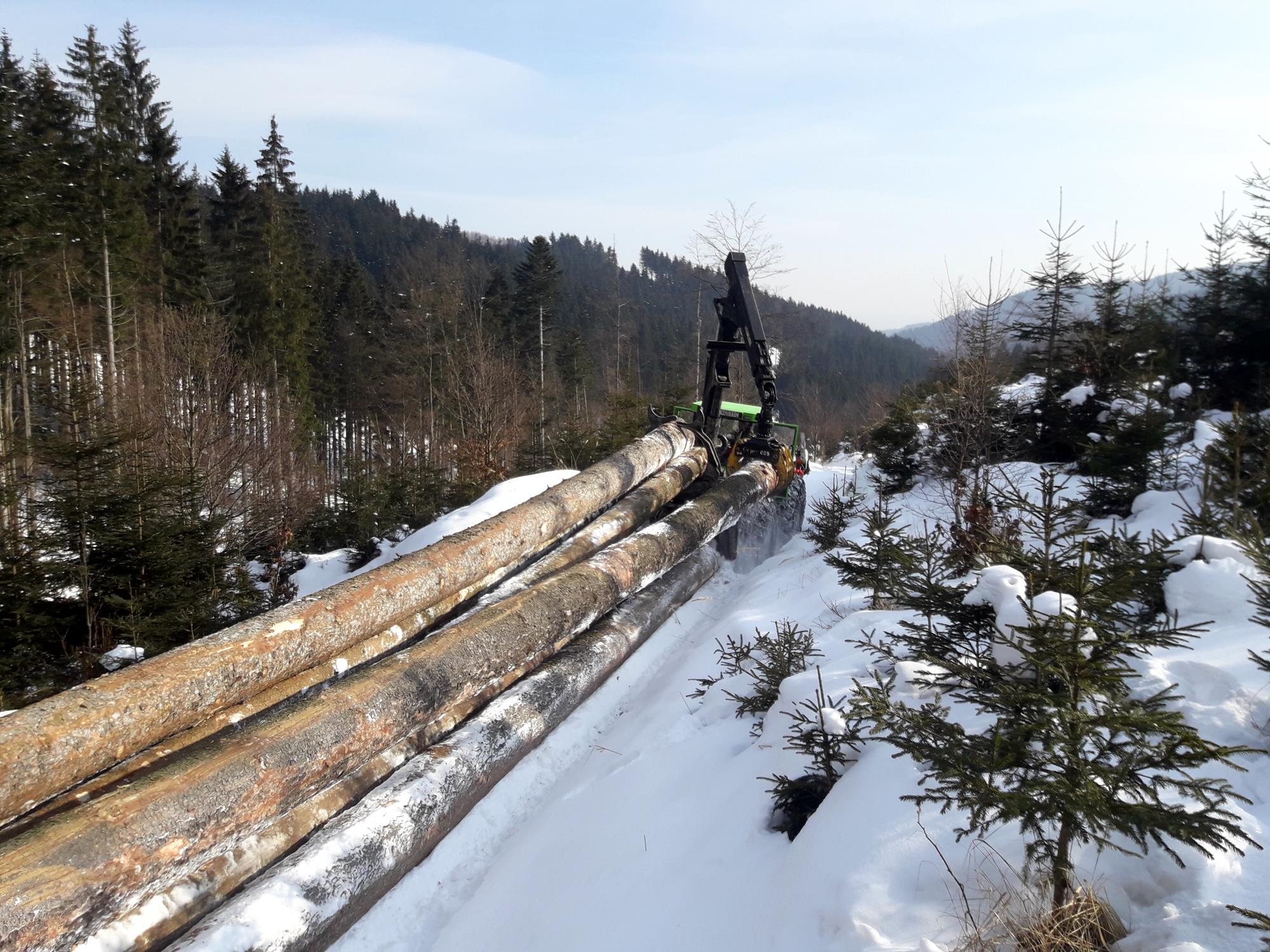 EQUUS 175N - Forestry Machines - Distri-Machines - Forestry Equipment